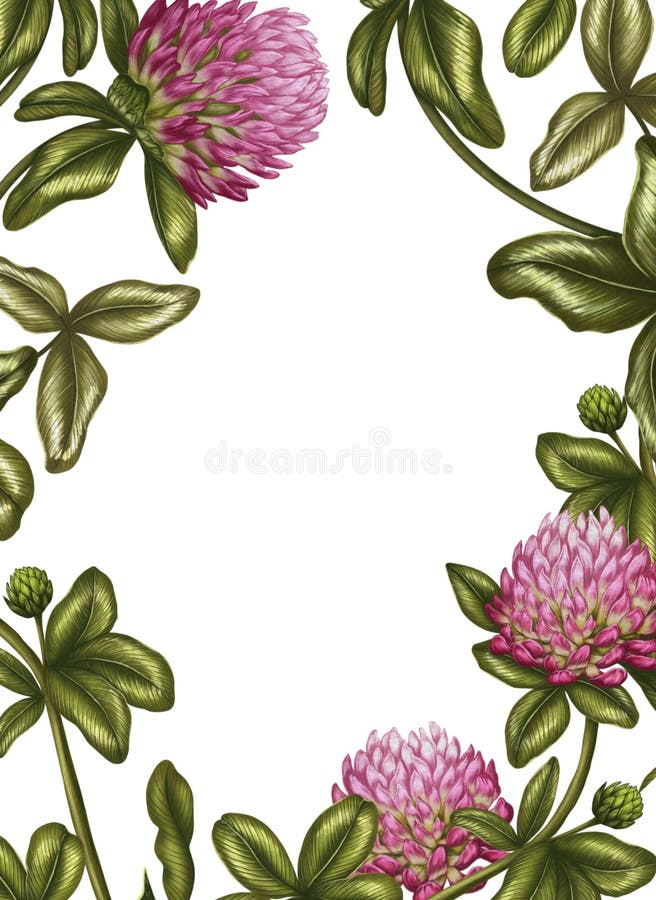 Frame Template with Branch of Blooming Pink Clover Stock Illustration ...
