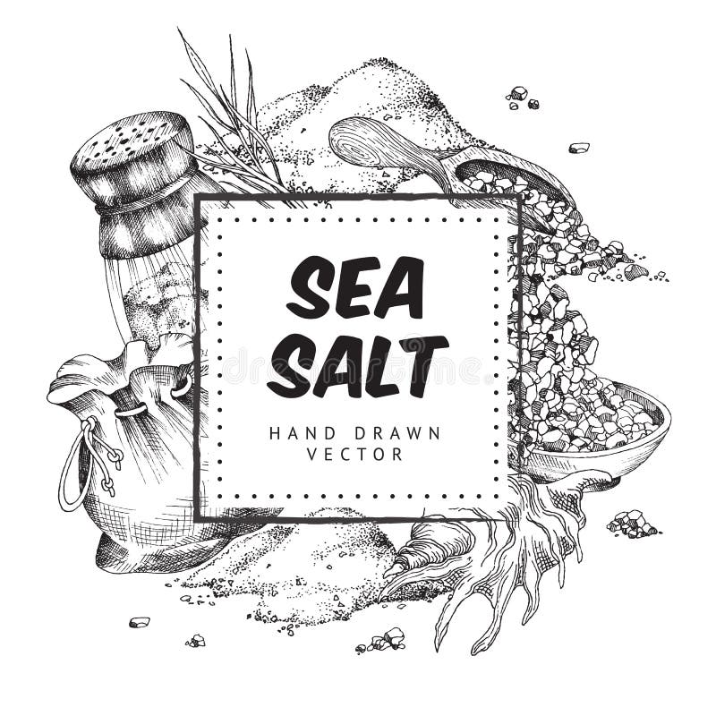 Frame for Text at Backdrop with Sea Salt Engraving Vector Illustration ...