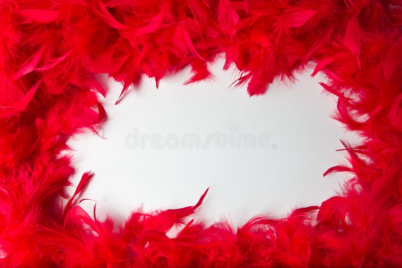 Feather borders stock image. Image of softness, soft, feathers - 1209007