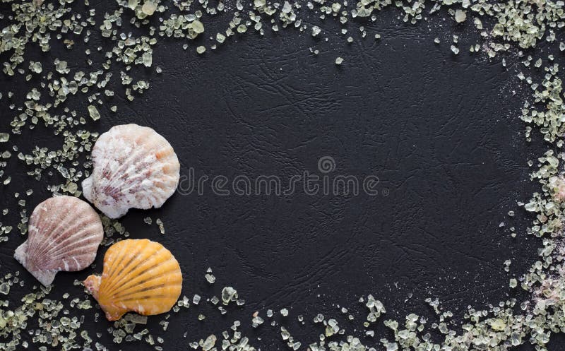 Frame Three Shells Black Background Copy Space Stock Photos - Free ...