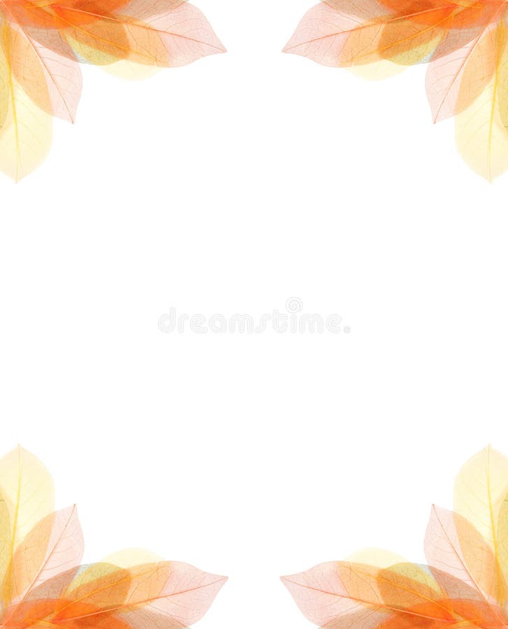 Frame Transparente Das Folhas De Outono Foto de Stock - Imagem de ...