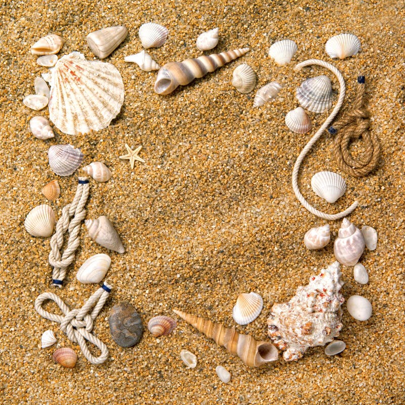 Frame from Various Shells on Sand Stock Image - Image of scenic ...