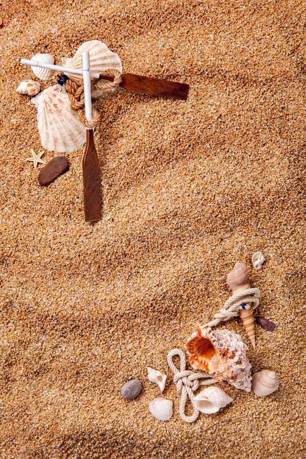 Frame from Various Shells on Sand Stock Photo - Image of relax, frame ...