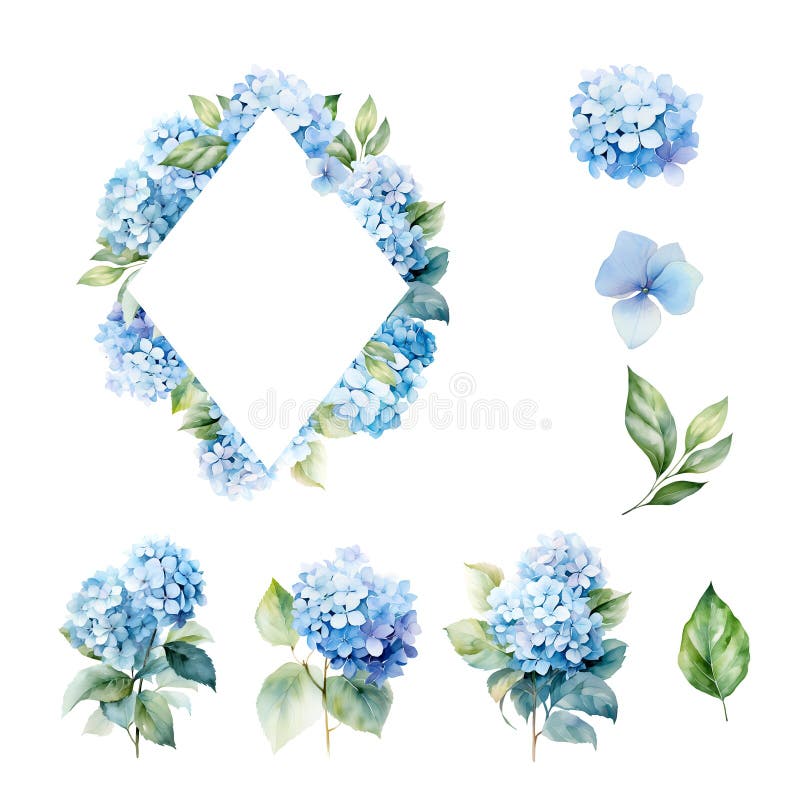 Frame with Watercolor Blue Hydrangea Set Stock Illustration ...
