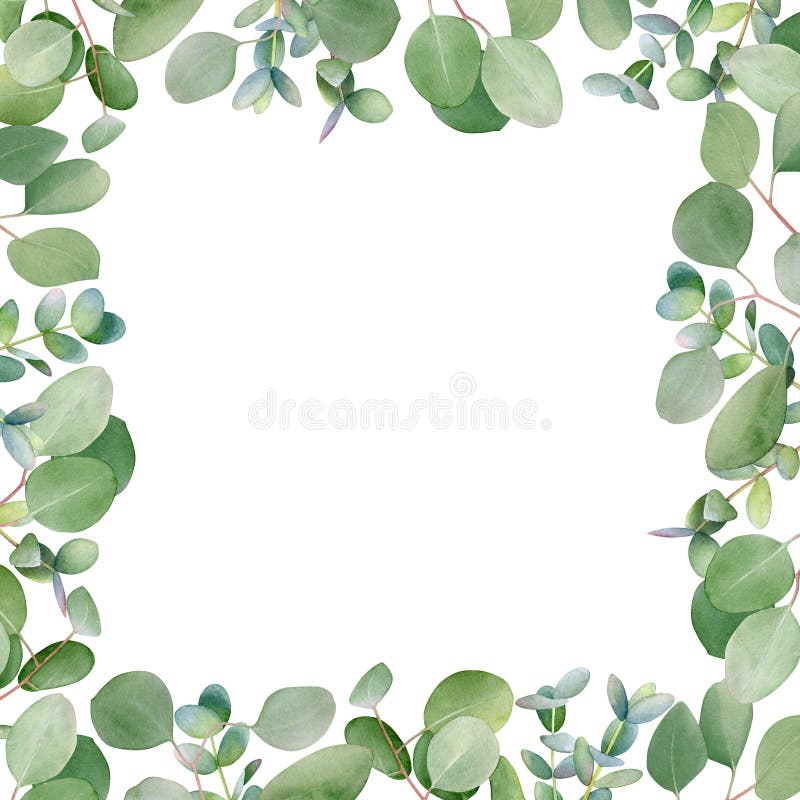 Frame with Watercolor Eucalyptus Branches with Copy Space Stock ...