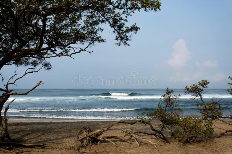 A-Frame Wave stock photo. Image of blue, horizon, ocean - 74564294