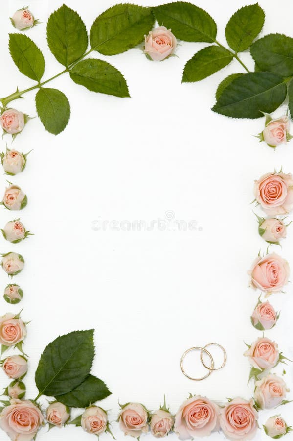 Frame for wedding photo stock image. Image of flower, frame - 1051769