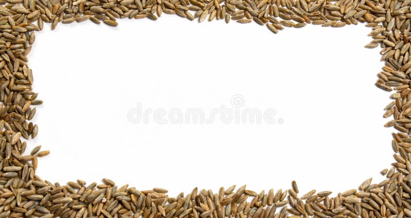 Frame of Wheat Grains on White Background Isolated Stock Photo - Image ...
