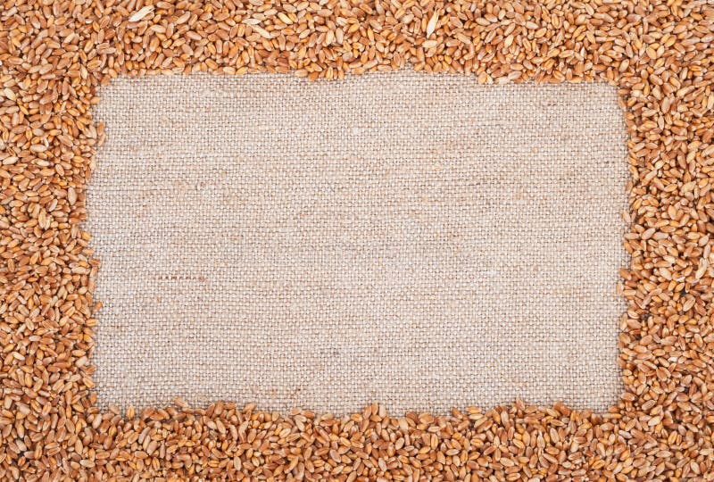 Bundle of Wheat and Grains Frame Stock Image - Image of bread, colour ...