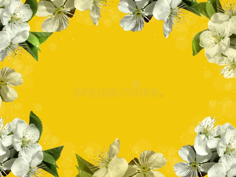 Frame with white flowers. stock photo. Image of documents - 127804650