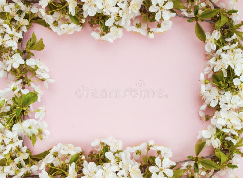Frame of White Spring Flowers on a Pink Background, White Cup of Coffee ...