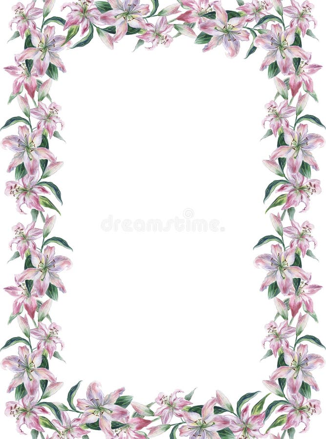 Frame with White Watercolor Lilys Stock Image - Image of lily, flower ...