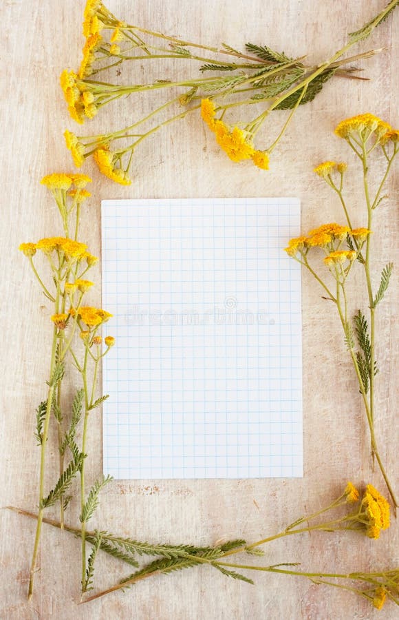 Frame of Wild Flowers for Writing Stock Image - Image of recording ...
