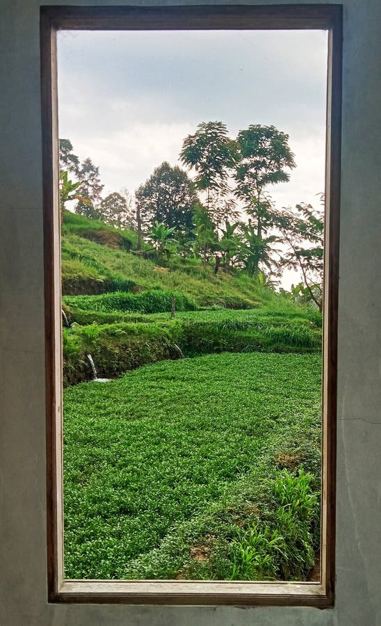 Frame Window Shows Green Field Stock Photos - Free & Royalty-Free Stock ...