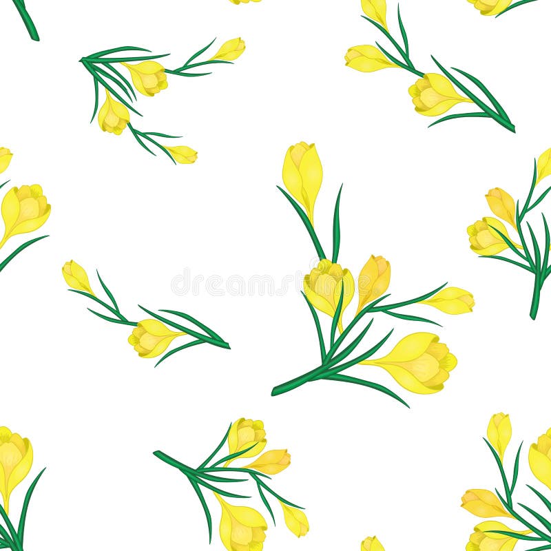 Frame with yellow crocuses stock vector. Illustration of ornament ...