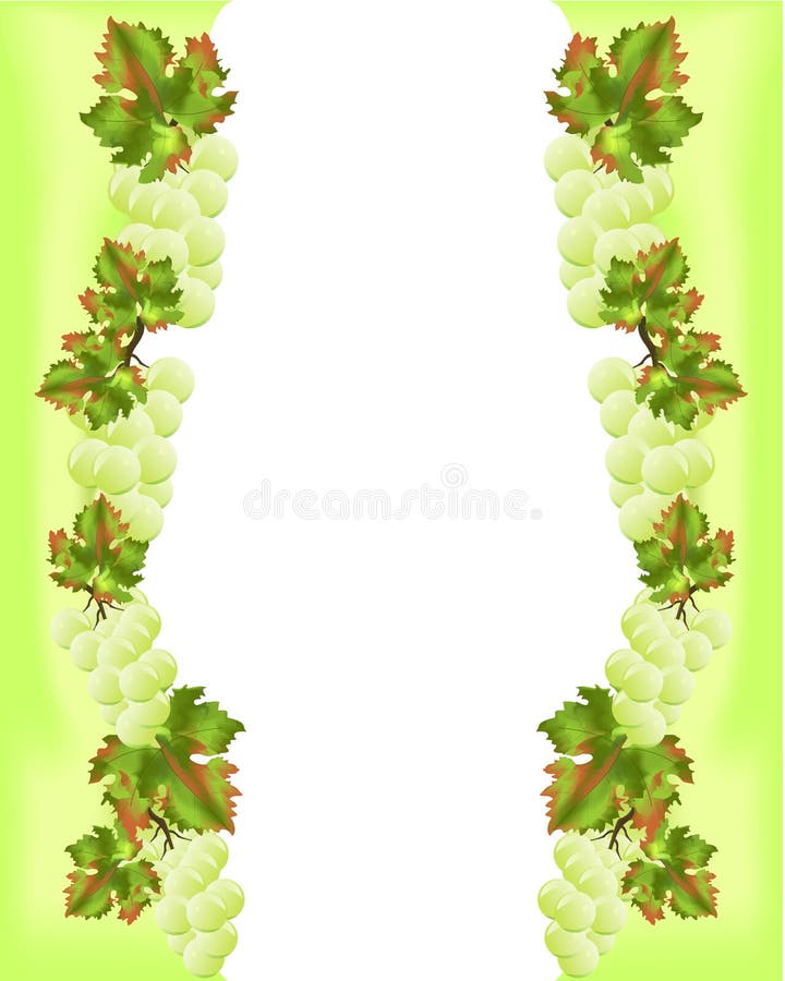 Frame with Yellow Grapes, Cdr Vector Stock Vector - Illustration of ...