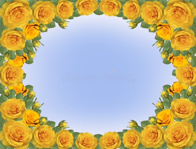 Frame of yellow roses. stock image. Image of bright - 110561599