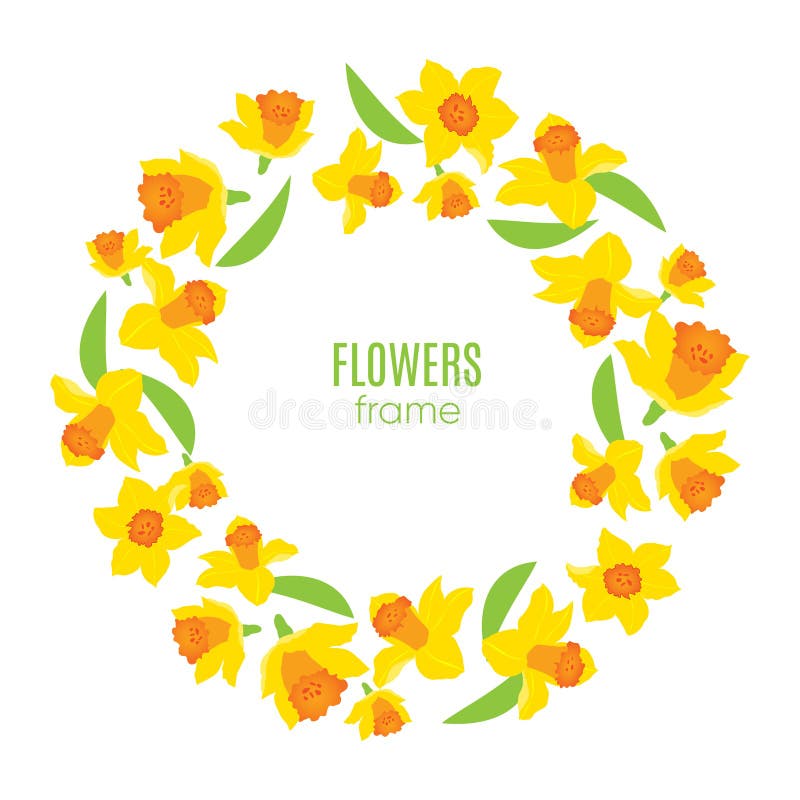 Frame with Yellow Spring Daffodils. Stock Vector - Illustration of ...