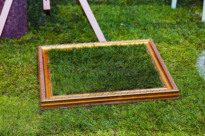 Framed grass stock image. Image of love, decorative, bush - 65116115