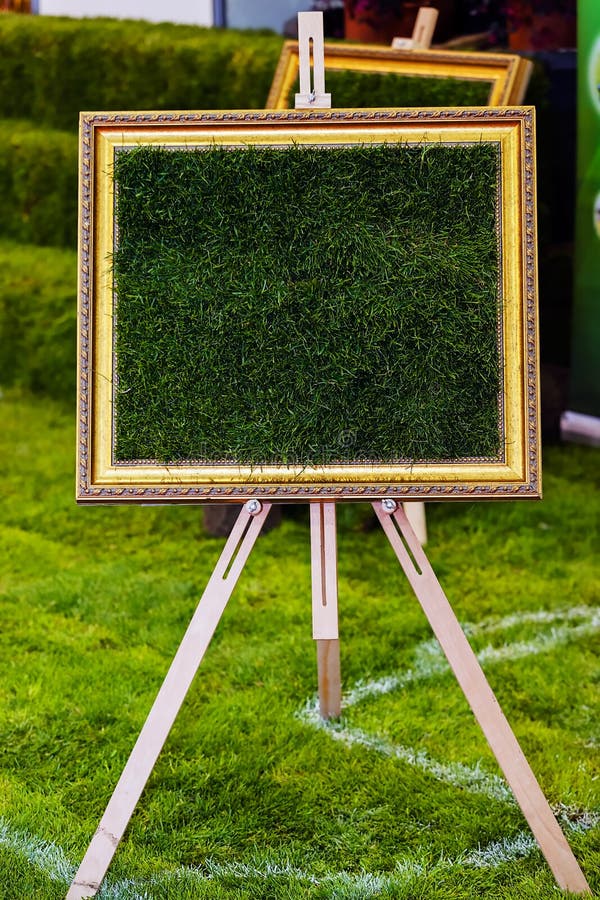 Framed grass stock image. Image of bright, decoration - 65116161