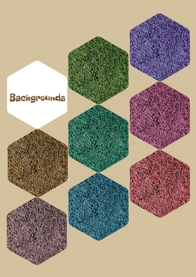 Framed Photo Collage - Grass Stock Photo - Image of detail, colors ...