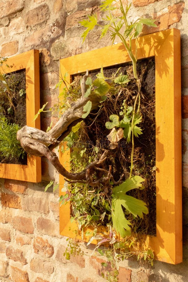 Framed root stock image. Image of root, sculpture, brass - 128107655