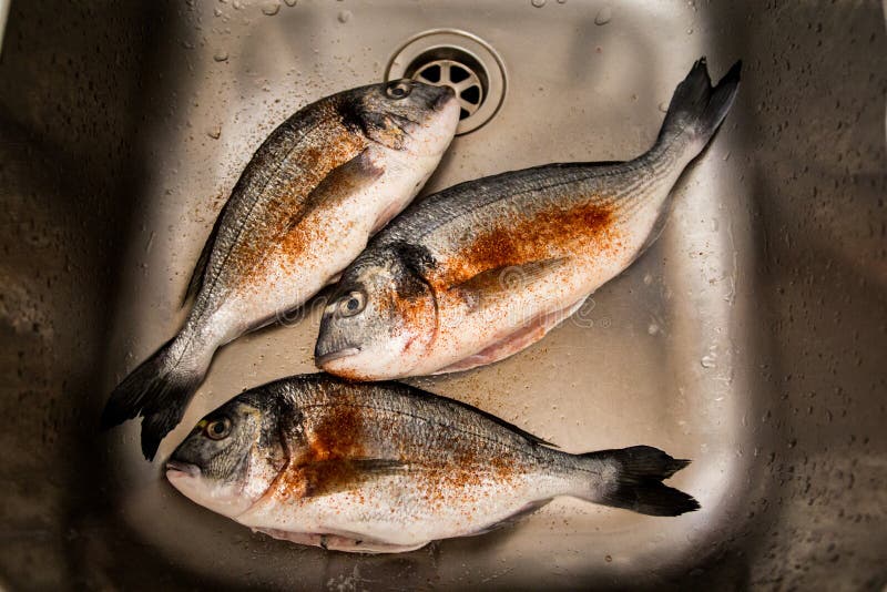 Framed and Seasoned Fresh Dorada Fish Stock Photo - Image of healthy ...