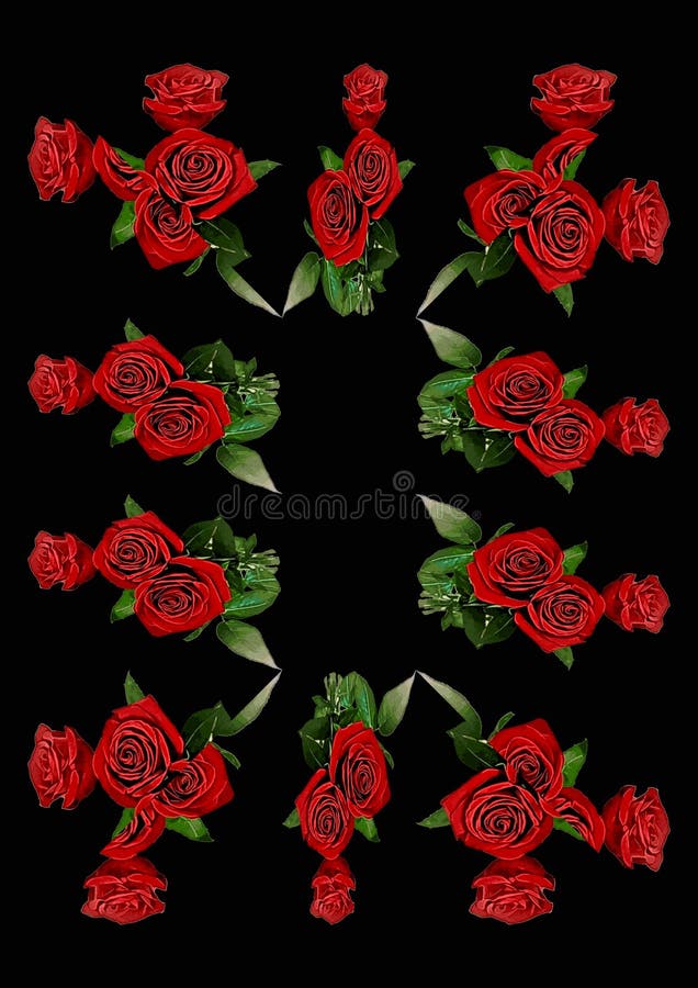 Frames - a Bouquet of Three Red Roses. Flowers on the Black Background ...