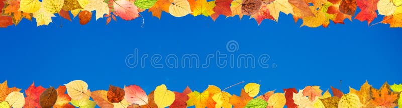 Frames of Colored Autumn Leaves on a Blue Sky Background Stock Image ...