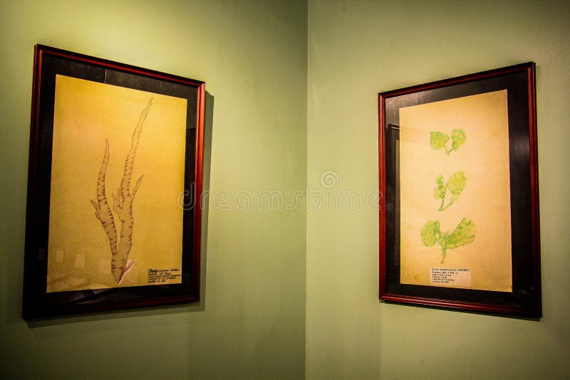 Frames editorial image. Image of national, artifacts - 96322375