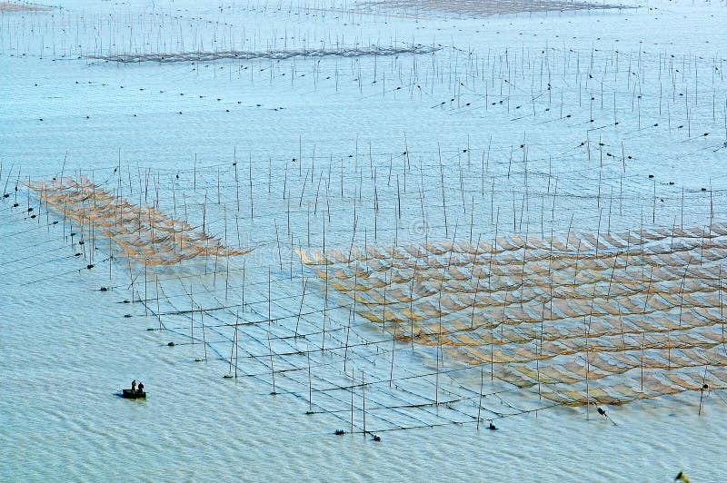 Frames To Air the Laver Dry Stock Image - Image of water, food: 11662519