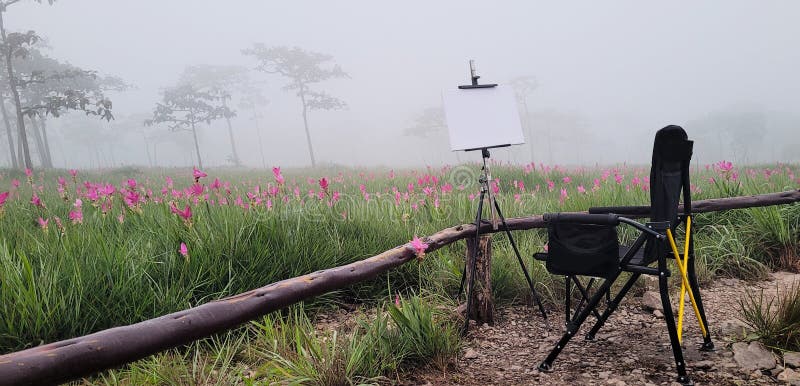 Framework in nature stock image. Image of paint, painting - 357253125