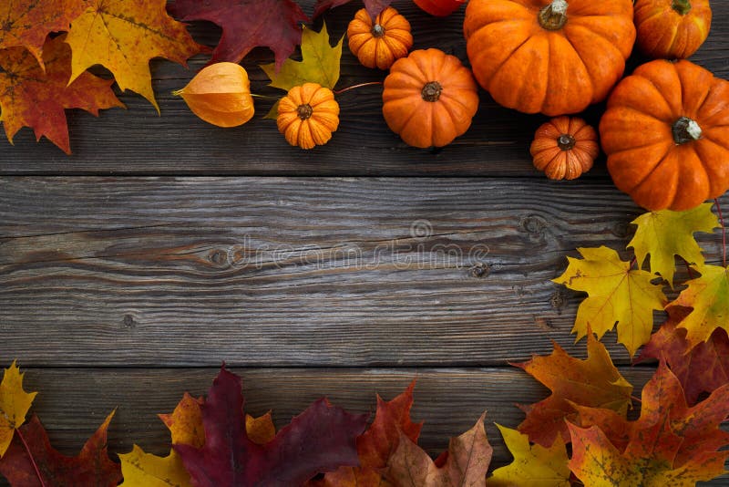 Framework with Pumpkins and Fall Leaves on Wooden Background. Top View ...