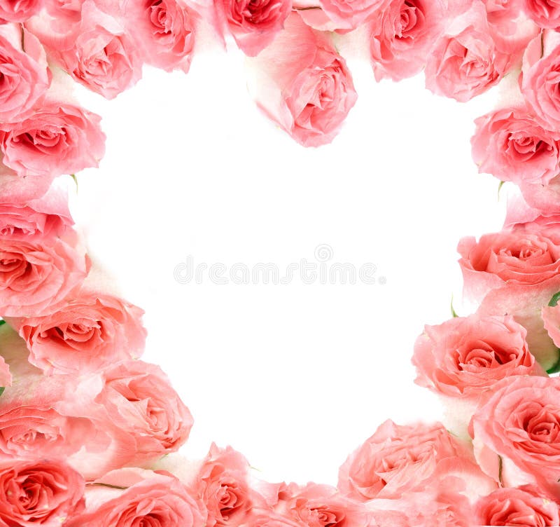 Framework from roses. stock photo. Image of marriage, botanical - 3548532