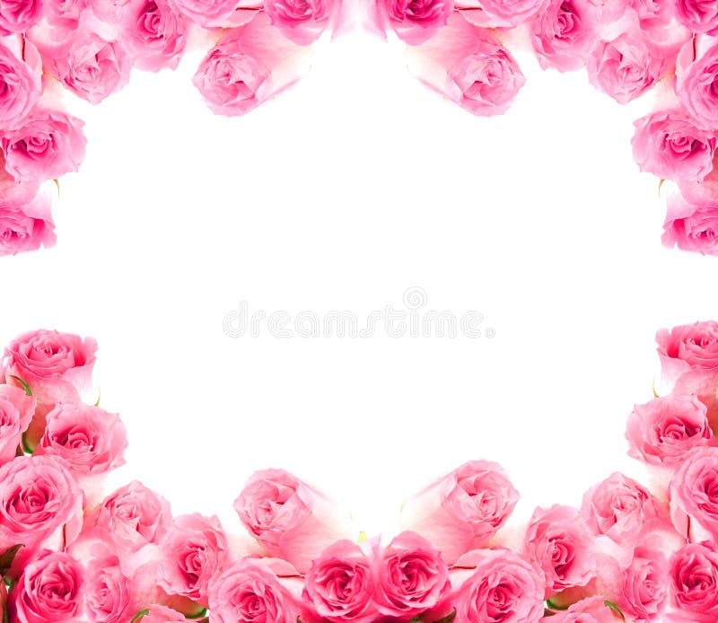 Pink Roses Border Frame Top Side Bottom Stock Photo - Image of edge ...