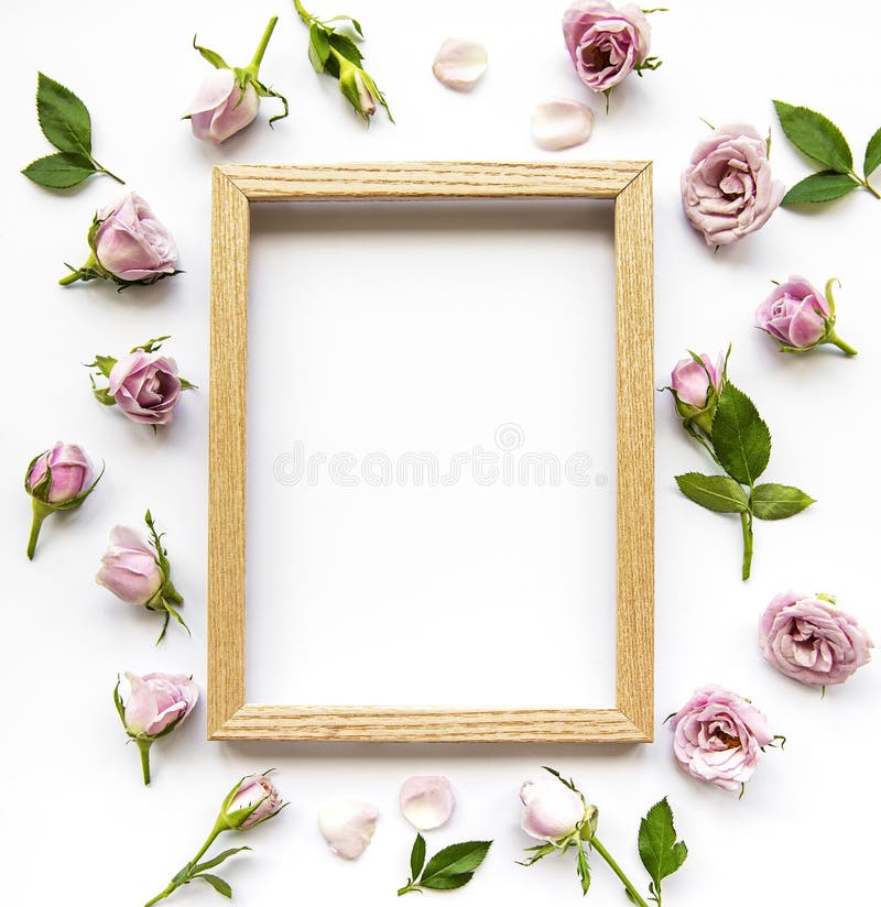 Framework from Roses on White Background Stock Image - Image of ...