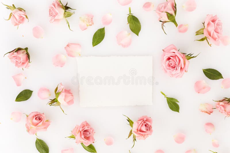 Framework from roses. stock photo. Image of marriage, botanical - 3548532