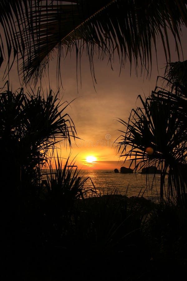 Framing of the Golden Sunset Stock Image - Image of dramatic, evening ...