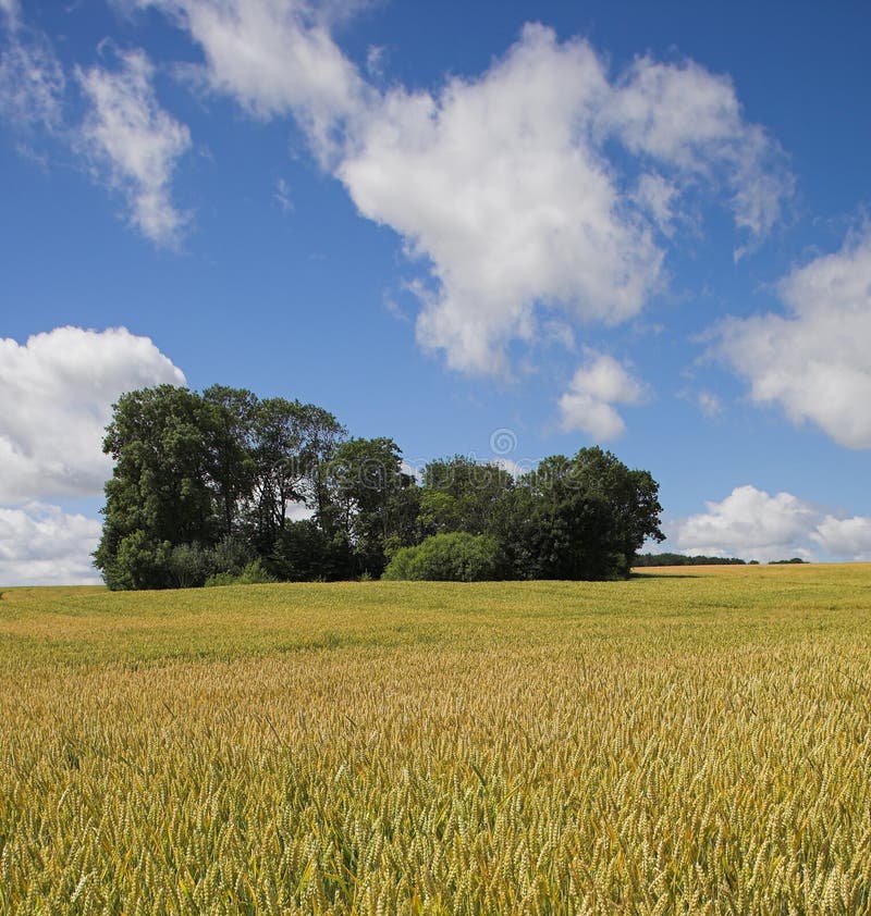 Framland Picture. Image: 1636508