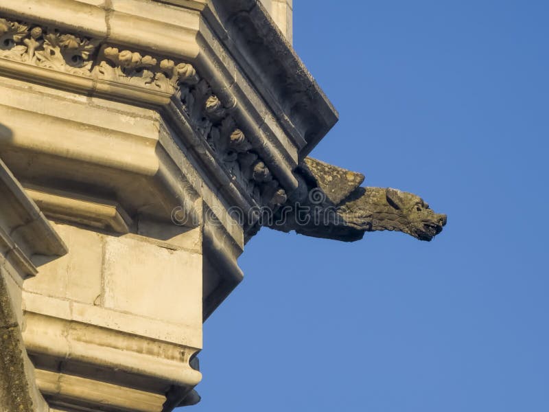 France - Amboise - Amboise Castle Gargoyle Stock Photo - Image of ...