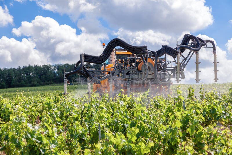 Spraying in Vineyards stock photo. Image of field, vines - 366400