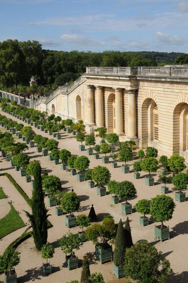 France, Garden of the Versailles Palace Orangery Stock Photo - Image of ...
