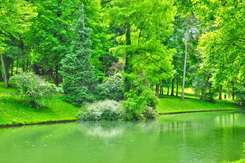 France, the Meissonnier Park in Poissy Stock Photo - Image of season ...