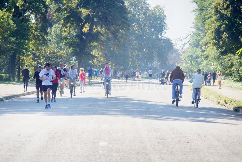 Jogging Parisian in the Park Editorial Stock Photo - Image of marathon ...