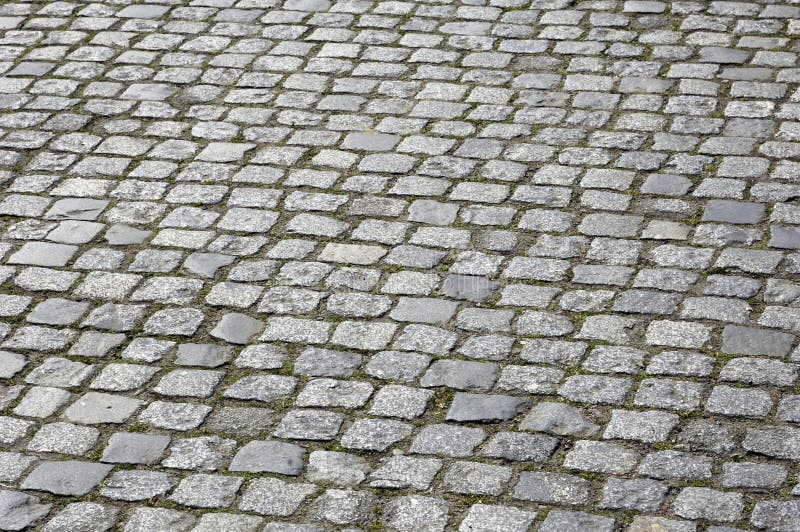 France, paved road stock photo. Image of versailles - 219877546