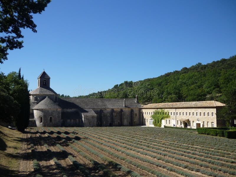 France Provence Old Monastery Lavender Field Stock Photo - Image of ...