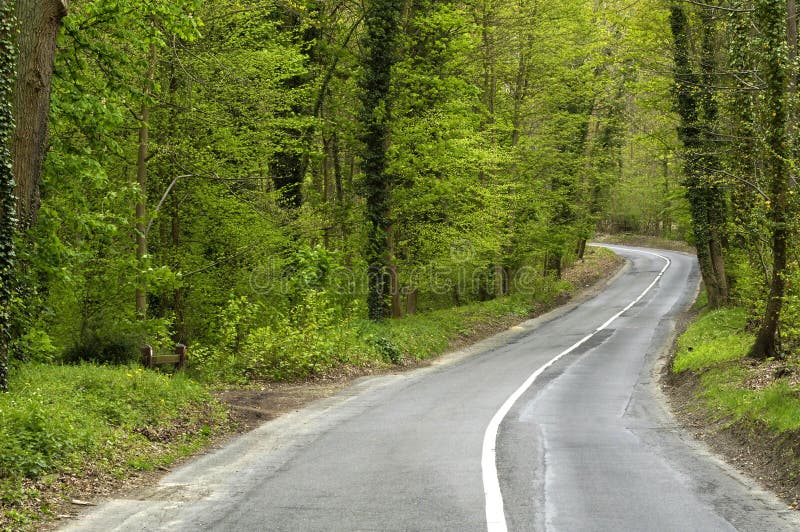 A Small Road in the Country Editorial Stock Image - Image of france ...