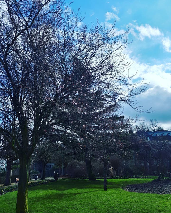 Paris stock image. Image of bleu, spring, france, paris - 143834921