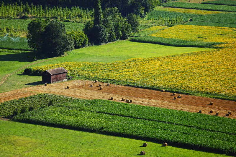 Widok Z Lotu Ptaka Pola, łąki Z Sianem I Las W Opóźnionej Wiośnie ...
