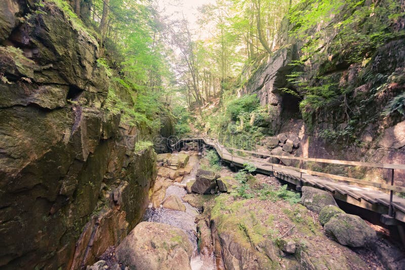 Franconia-Kerben-Nationalpark Stockbild - Bild von wald, gerinne: 108128381